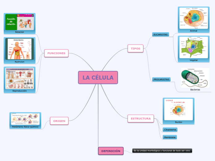 LA CÉLULA - Mind Map